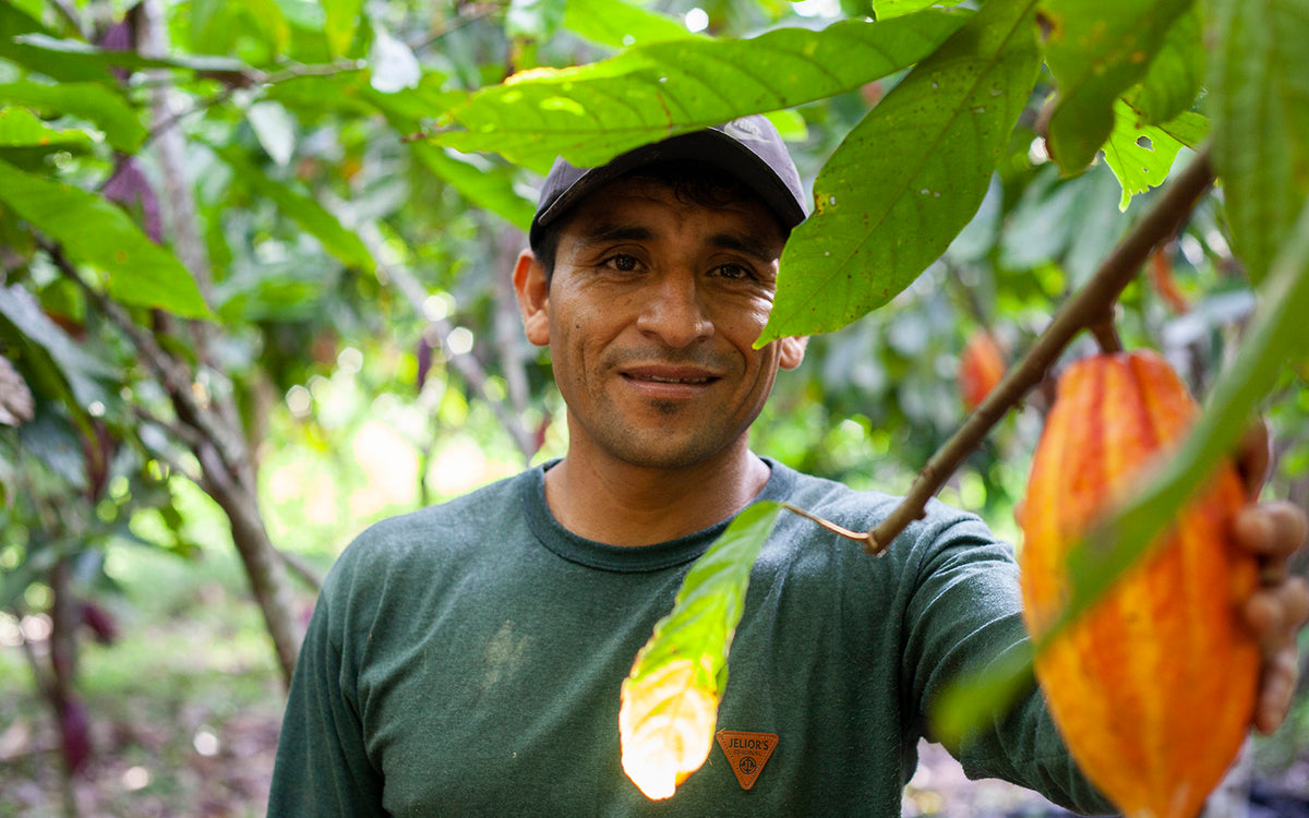 Choba Choba – Farmer-Owned Swiss Chocolate